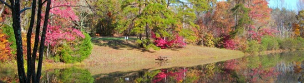 Seneca Shadows Campground - Seneca Rocks, West Virginia - RV LIFE ...