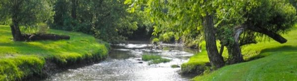 Woodhaven Lakes - Sublette, Illinois - RV LIFE Campground Reviews