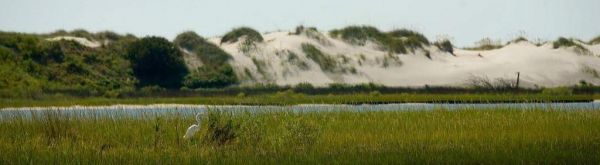 Onslow Beach Campsites - Camp Lejune Marine Base, North Carolina - RV ...