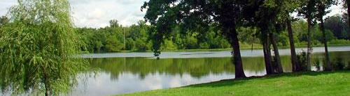Chief Aripeka Travel Park - Spring Hill, Florida - RV LIFE Campground ...