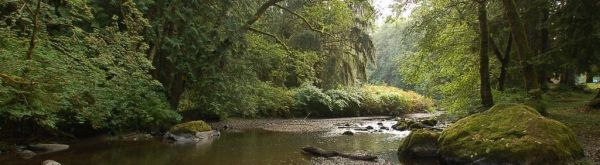 Derby Reach Regional Park - Edgewater Bar Campground - Langley, British ...