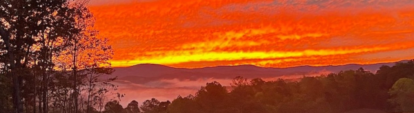 Blue Moon Campground - LaFayette, Georgia - RV LIFE Campground Reviews