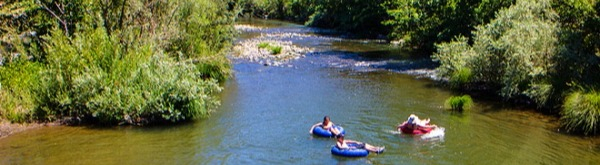 Spring Lake Park - Santa Rosa, California - RV LIFE Campground Reviews