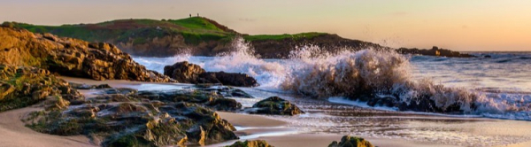 Pinto Lake Park - Watsonville, California - RV LIFE Campground Reviews