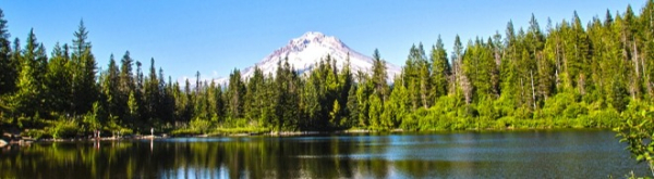 Waterloo County Park - Lebanon, Oregon - RV LIFE Campground Reviews