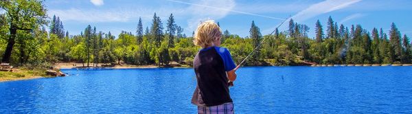 Little Bear RV Park - Blairsden, California - RV LIFE Campground Reviews