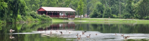 Caledonia State Park, Hosack Run Campground - Fayetteville ...