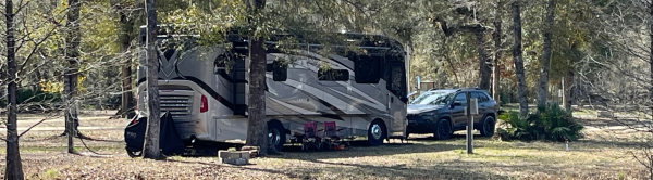 Ellie Ray's RV Resort & Lounge - Branford, Florida - RV LIFE Campground ...