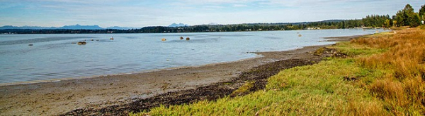 Rondalyn Resort - Cassidy, British Columbia - RV LIFE Campground Reviews