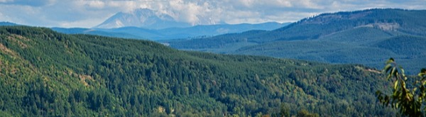 Alderbrook Estates Mobile Home and RV Park - Tumwater, Washington - RV ...