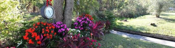 Resort at Canopy Oaks - Lake Wales, Florida - RV LIFE Campground Reviews