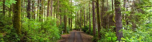 Four Seasons RV Resort - Gold Beach, Oregon - RV LIFE Campground Reviews