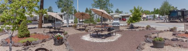 Happy Jack Lodge and RV Park - Happy Jack, Arizona - RV LIFE Campground ...