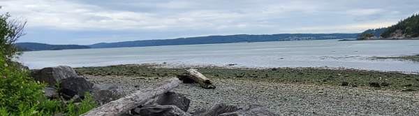 Rondalyn Resort - Cassidy, British Columbia - RV LIFE Campground Reviews