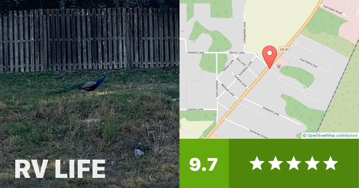 Big Oaks RV Resort - Spring Hill, Florida - RV LIFE Campground Reviews