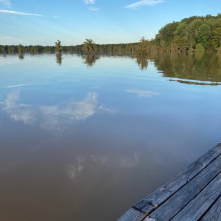 Gantt Lake RV park - Andalusia, Alabama - RV LIFE Campground Reviews