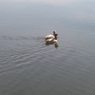 Peanut's Crappie House & Campground - Graham, Texas - RV LIFE ...