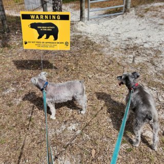 Ross Prairie Trailhead & Campground - Dunnellon, Florida - RV LIFE ...