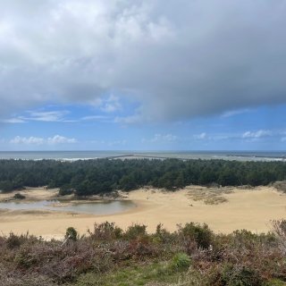 Windy Cove, Campground B - Winchester Bay, Oregon - RV LIFE Campground ...