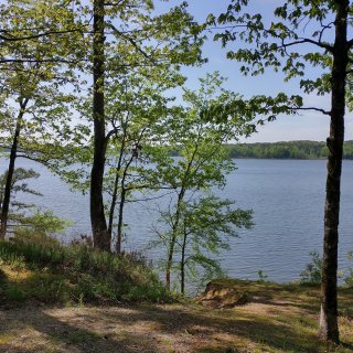 Denby Point - Mount Ida, Arkansas - RV LIFE Campground Reviews