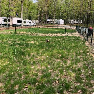 Timber Ridge Campground & Recreation Resort - Traverse City, Michigan ...