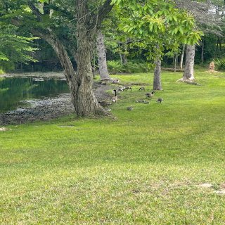 Kick Back N Camp - Belington, West Virginia - RV LIFE Campground Reviews