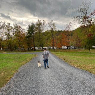 River's Edge Campground - Bergton, Virginia - RV LIFE Campground Reviews