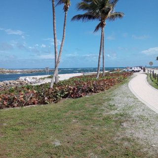 West Jupiter RV Resort - Jupiter, Florida - RV LIFE Campground Reviews