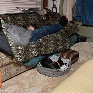 Kit Fox RV Park - Patterson, California - RV LIFE Campground Reviews