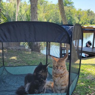Parramore's Fantastic Fish Camp & Family Resort - Astor, Florida - RV ...