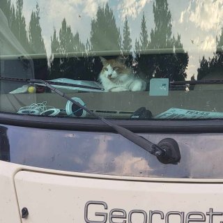 Allendale / West Grand Rapids KOA - Allendale, Michigan - RV LIFE ...