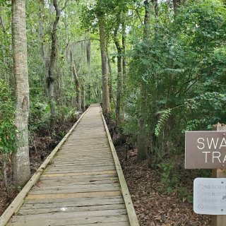 Fairview Riverside State Park - Madisonville, Louisiana - RV LIFE ...
