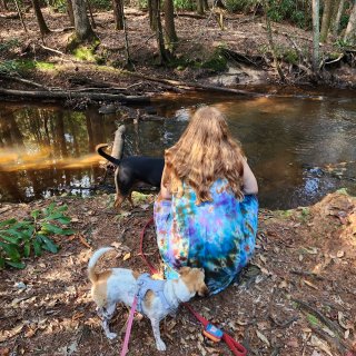 Jim Thorpe Camping Resort - Jim Thorpe, Pennsylvania - RV LIFE ...