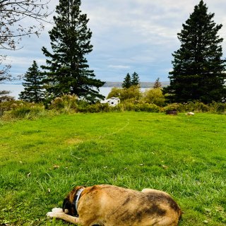 Five Islands Provincial Park - Five Islands, Nova Scotia - RV LIFE ...