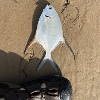 Park Center - Port Isabel, Texas - RV LIFE Campground Reviews