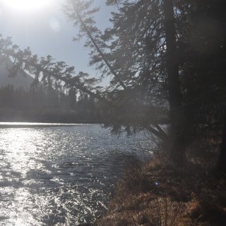 Bow Valley Provincial Park, Bow River Campground - Canmore, Alberta ...