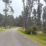 RV Parks in Dillon Beach, California - Top 20 Campgrounds near Dillon ...