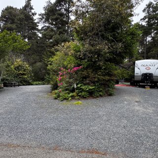 Pomo RV Park & Campground - Fort Bragg, California - RV LIFE Campground ...