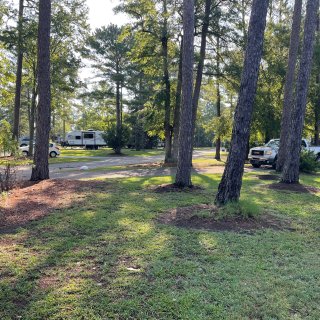 Willow Tree Resort and Campground - Longs, South Carolina - RV LIFE ...