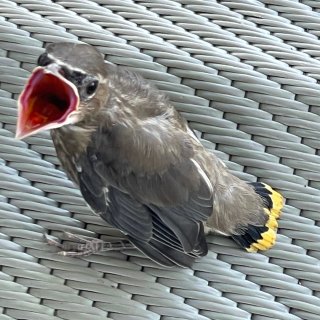 Fleming Park / Lake Jacomo Campground - Blue Springs, Missouri - RV ...