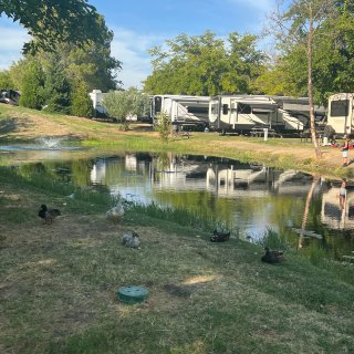 49er Village RV Community - Plymouth, California - RV LIFE Campground ...